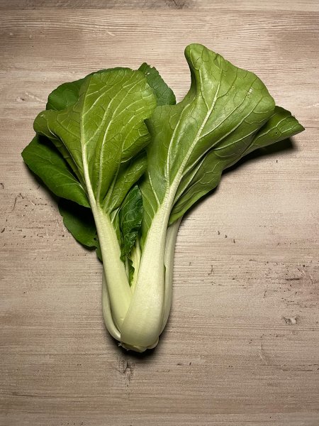 Bok Choy - Local Foods Mohawk Valley