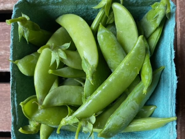 Sugar Snap Peas - Local Foods Mohawk Valley